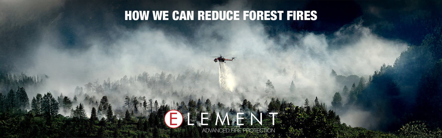 How We Can Reduce Forest Fires – Element Fire Extinguishers