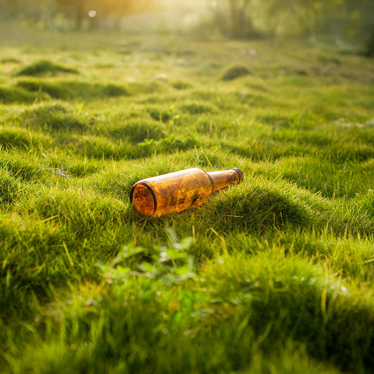 How We Can Reduce Forest Fires – Element Fire Extinguishers